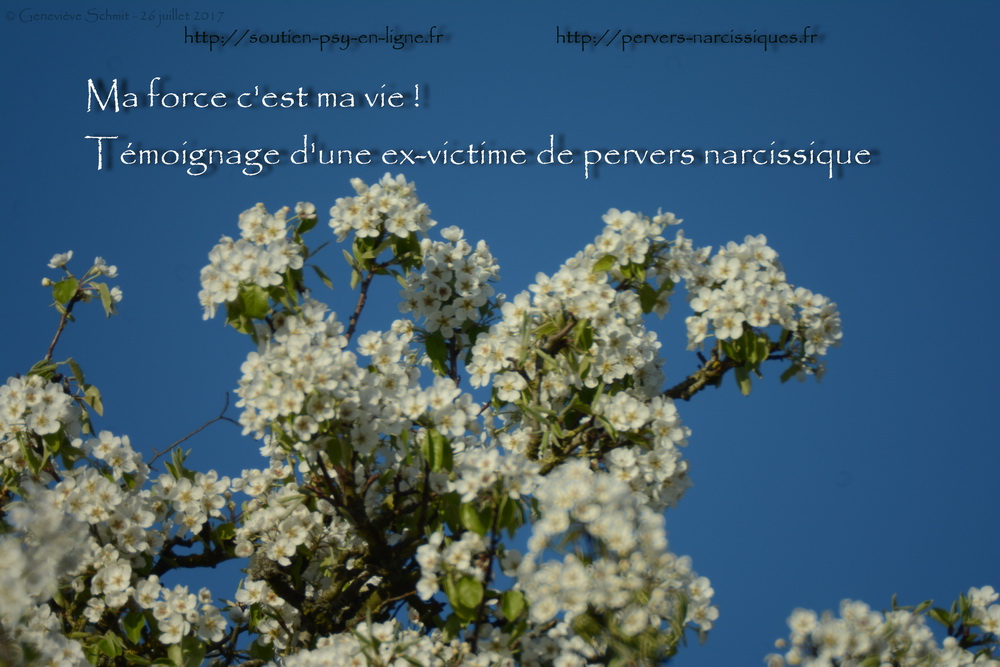 Résilience d'une Victime face au Manipulateur Pervers - Manipulateurs ...